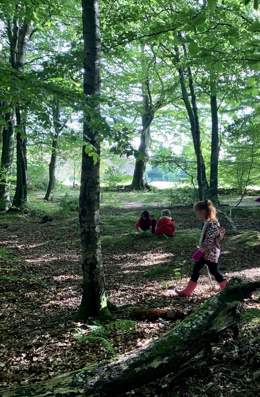 ?? Outdoor Learning ?? - Albyn School - Aberdeen, Scotland